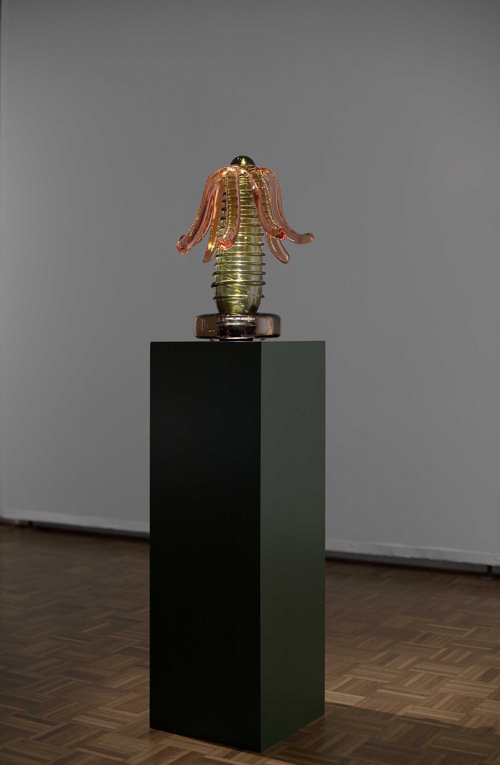 Kiki; Spider with the Glass Legs | Memo