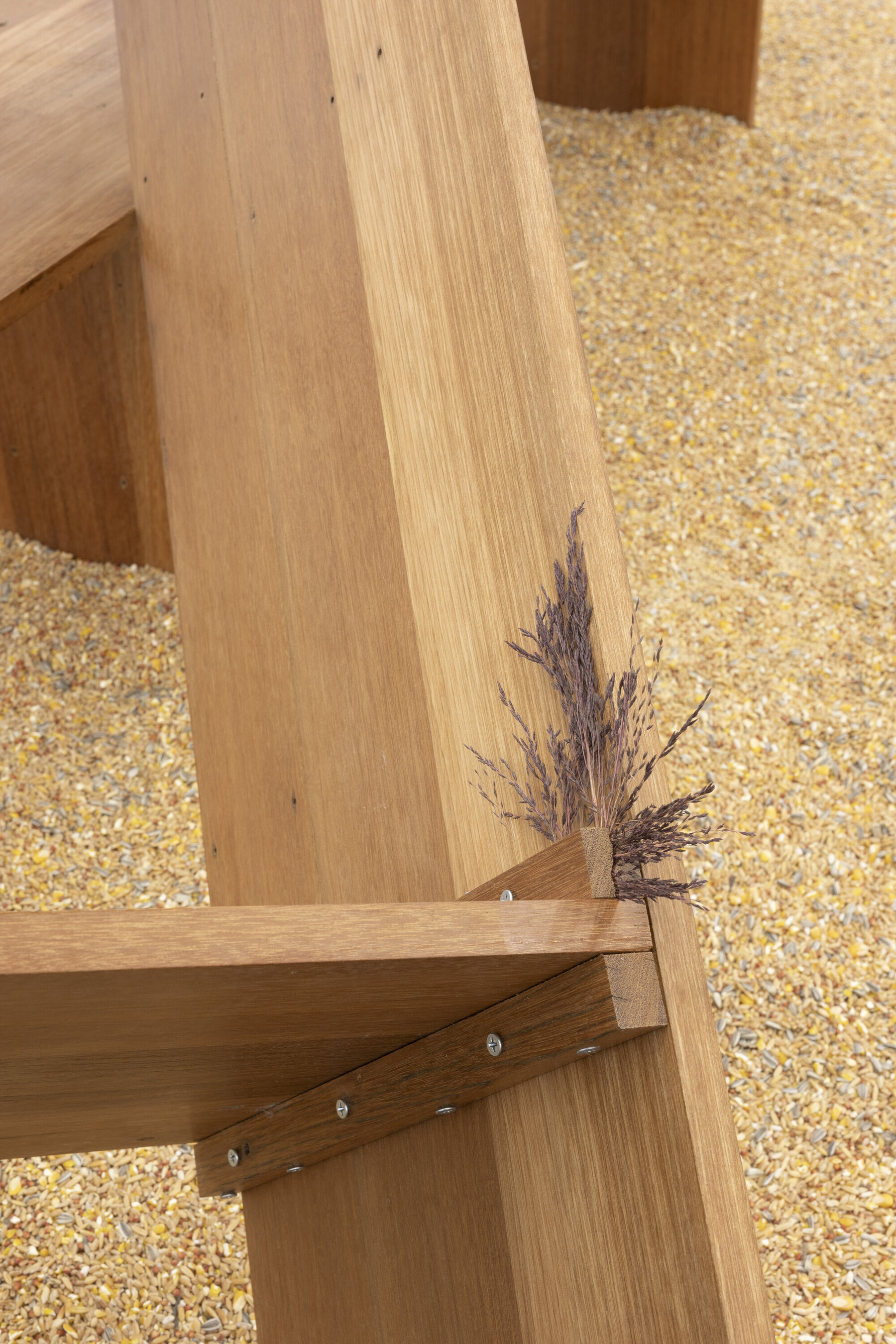 Garden Variety Dykes | Memo