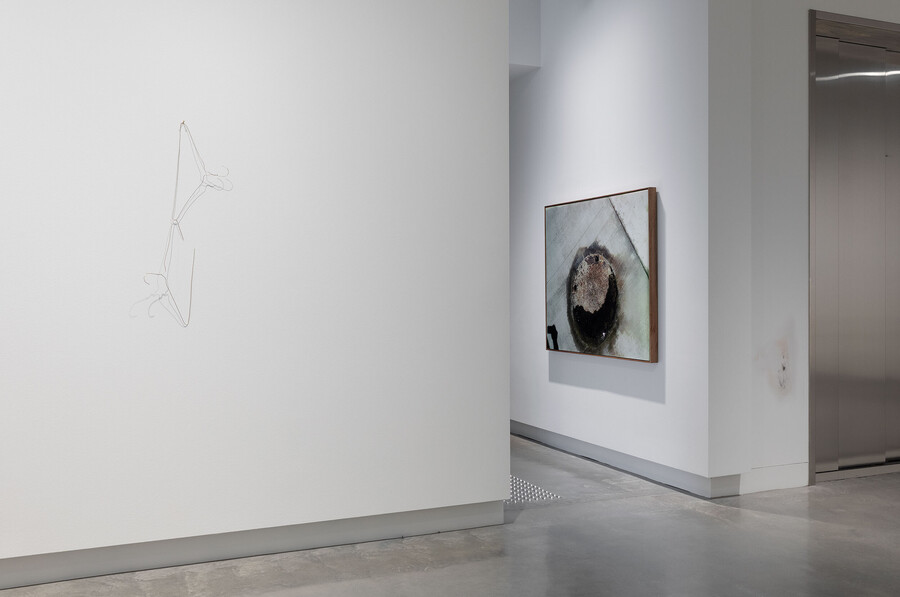 Hany Armanious: Stone Soup | Memo