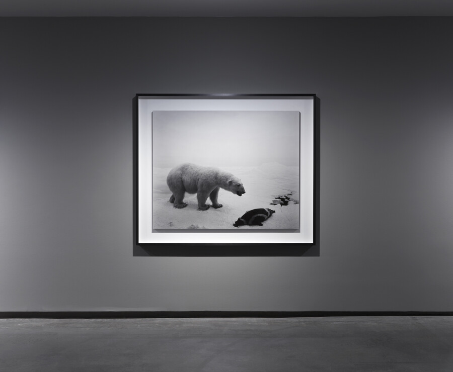 Hiroshi Sugimoto: Time Machine | Memo